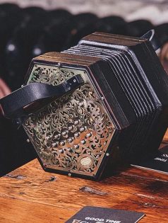 Online Academy of Irish Music | Learn 14 Music Instruments - Online ...