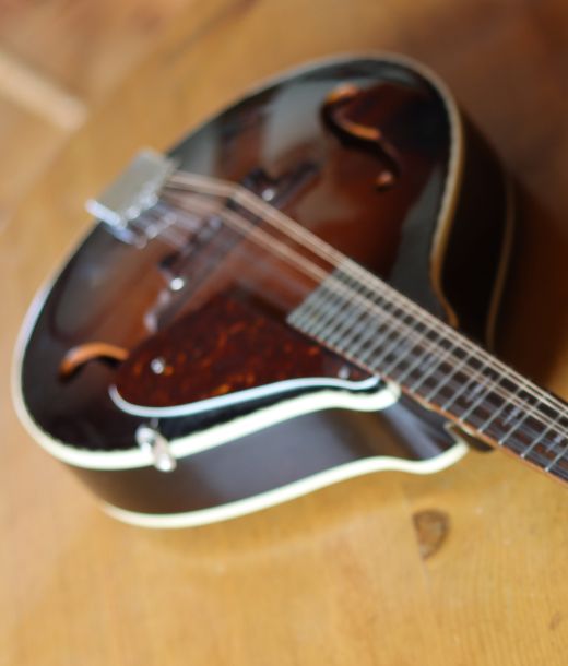 Mandolin - Easy Online Lessons - Online Academy of Irish Music