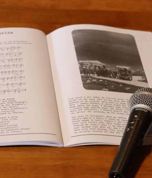 Song Lessons - Easy Online Lessons - Online Academy of Irish Music